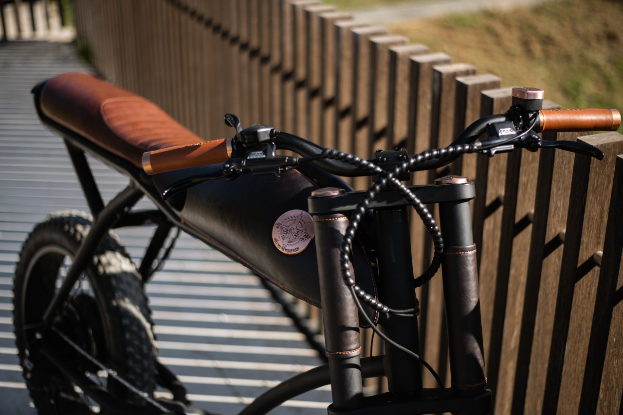 Rayvolt Ringo Smart++ EBike White | RingoWH16.5A