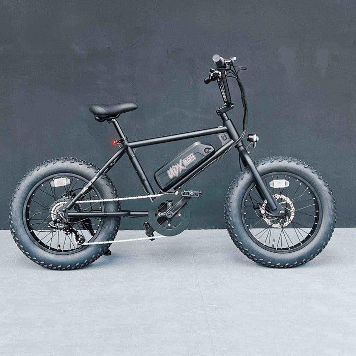 Original UDX Hardtail-Rahmen, roh | UDX-FRA-RAW