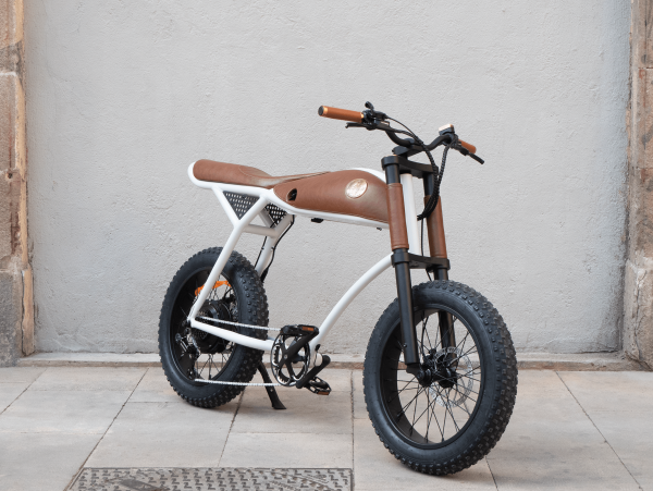 Rayvolt Ringo Smart++ EBike White | RingoWH16.5A