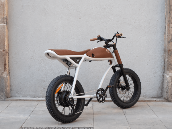 Rayvolt Ringo Smart++ EBike White | RingoWH16.5A
