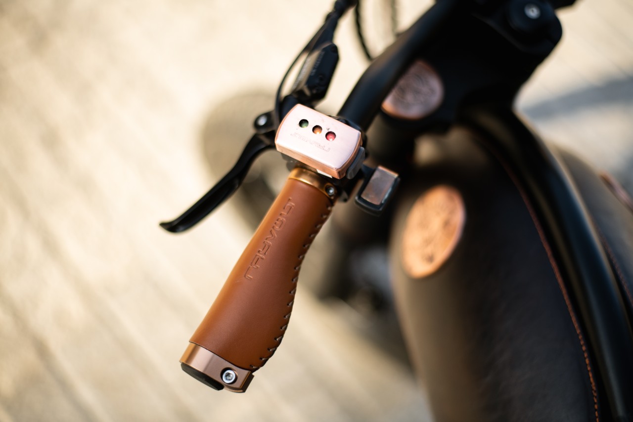 Rayvolt Ringo Smart++ EBike White | RingoWH16.5A